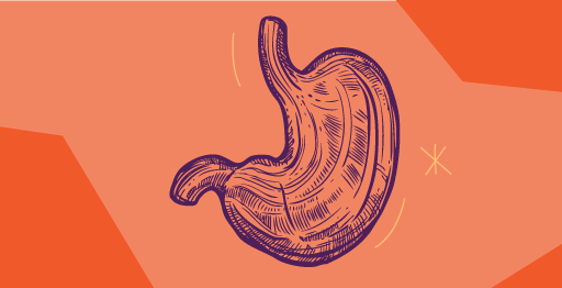 Alcohol And The Digestive System - Alcohol & Gut Health | Alcohol Think ...