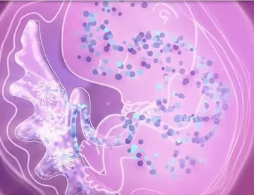 Alcohol During Pregnancy | Alcohol Think Again